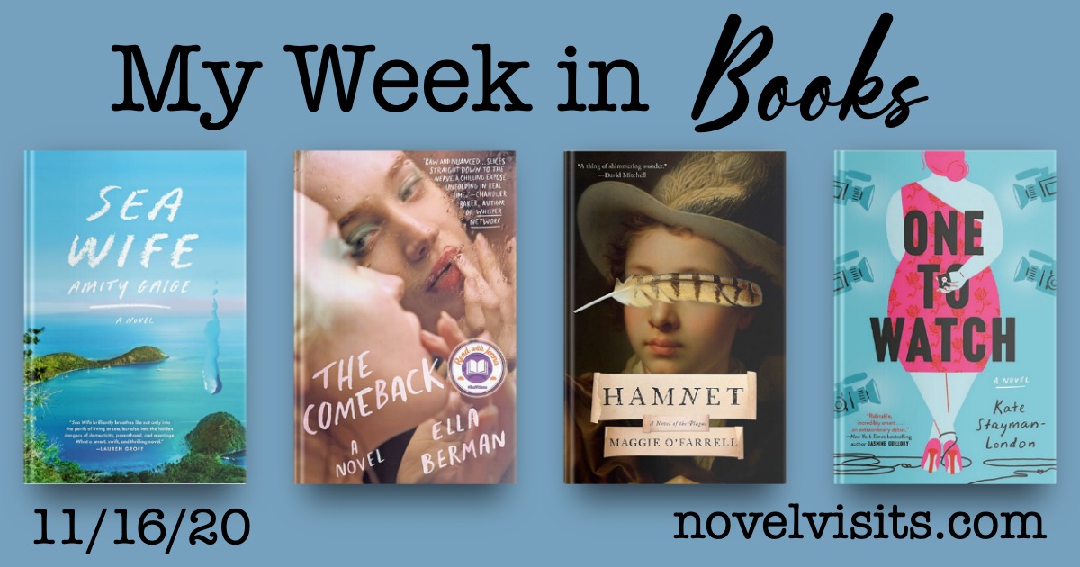 My Week in Books for 11/16/20 | More - Novel Visits