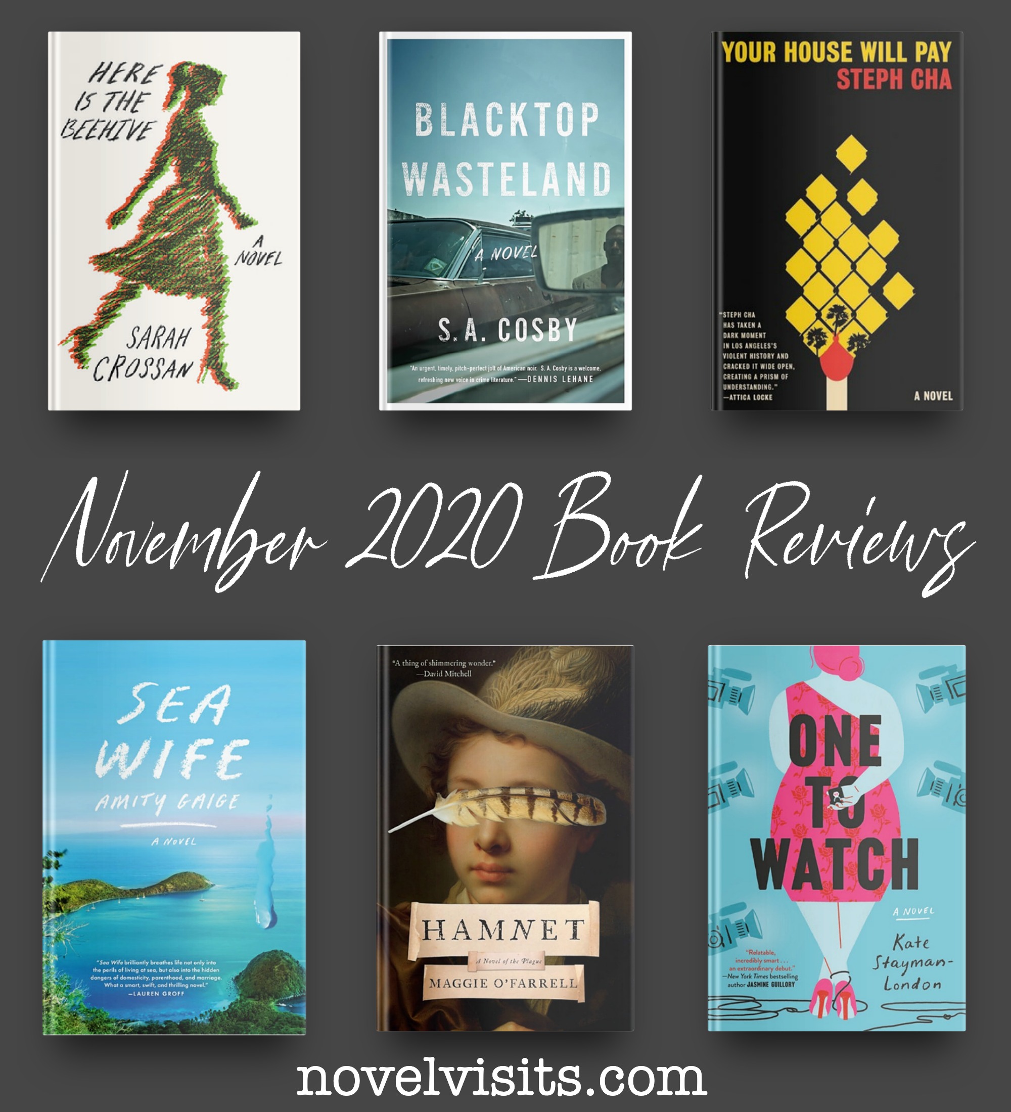 November 2020 Book Reviews - Print & Audiobooks - Novel Visits