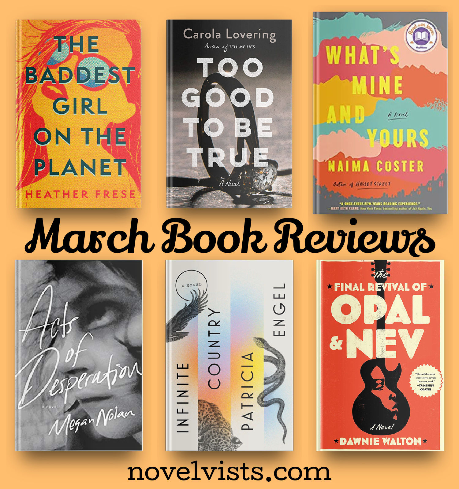 March 2021 Book Reviews - Novel Visits